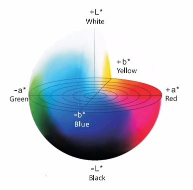 색 space.webp.jpg
