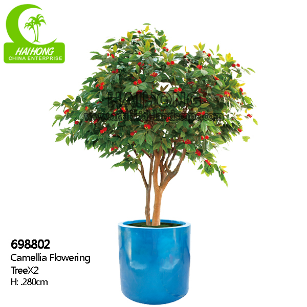 Albero di fioritura della camelia