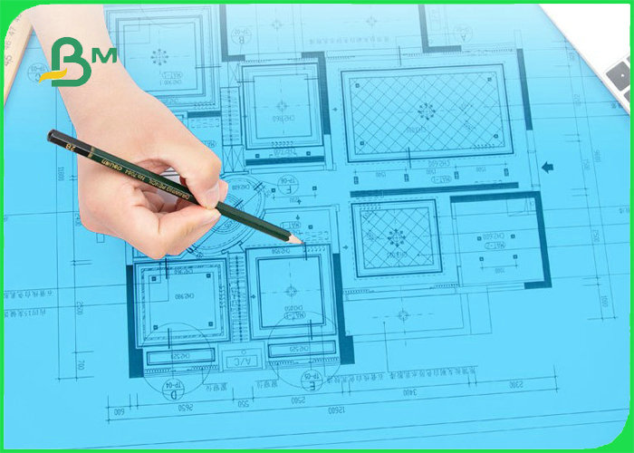 Papel de modelo Papel de modelo