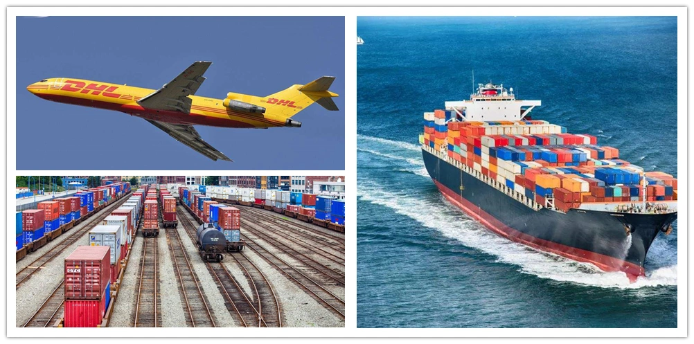 밀봉 조립 장치를 위한 식품성 Z 유형 버킷 엘리베이터 컨베이어