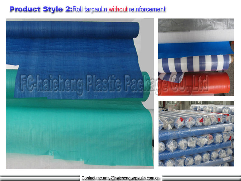 Hoja de la lona del PE (6)