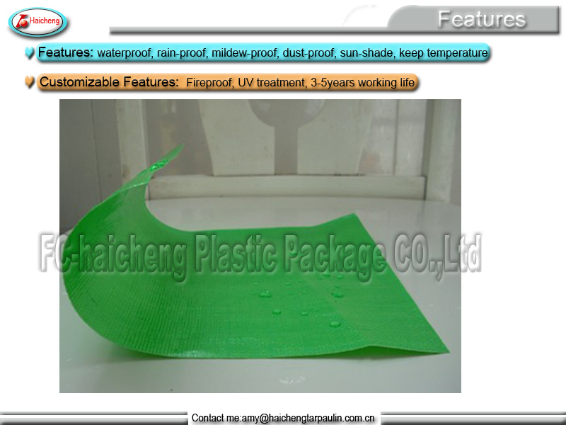 Hoja (7).jpg de la lona del PE