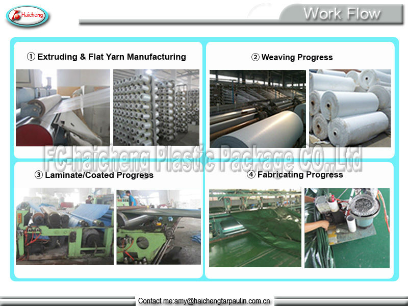 Hoja (4).jpg de la lona del PE