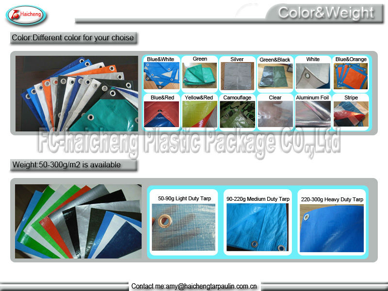 Hoja (8).jpg de la lona del PE