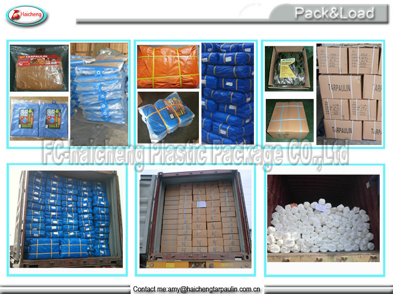 Hoja (1).jpg de la lona del PE