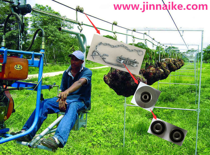 Zinco Garrucha d'argento Bananera per l'azienda agricola 6 della banana