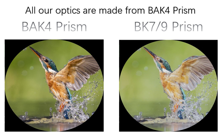 BAK4.jpg
