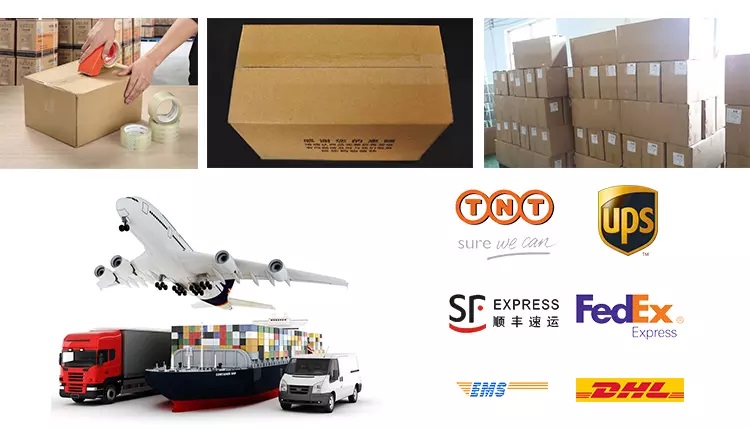 telecraneのはしご車の遠隔コントローラーの起重機のためのカスタマイズされた間隔のbox-type産業ラジオの遠隔コントローラー