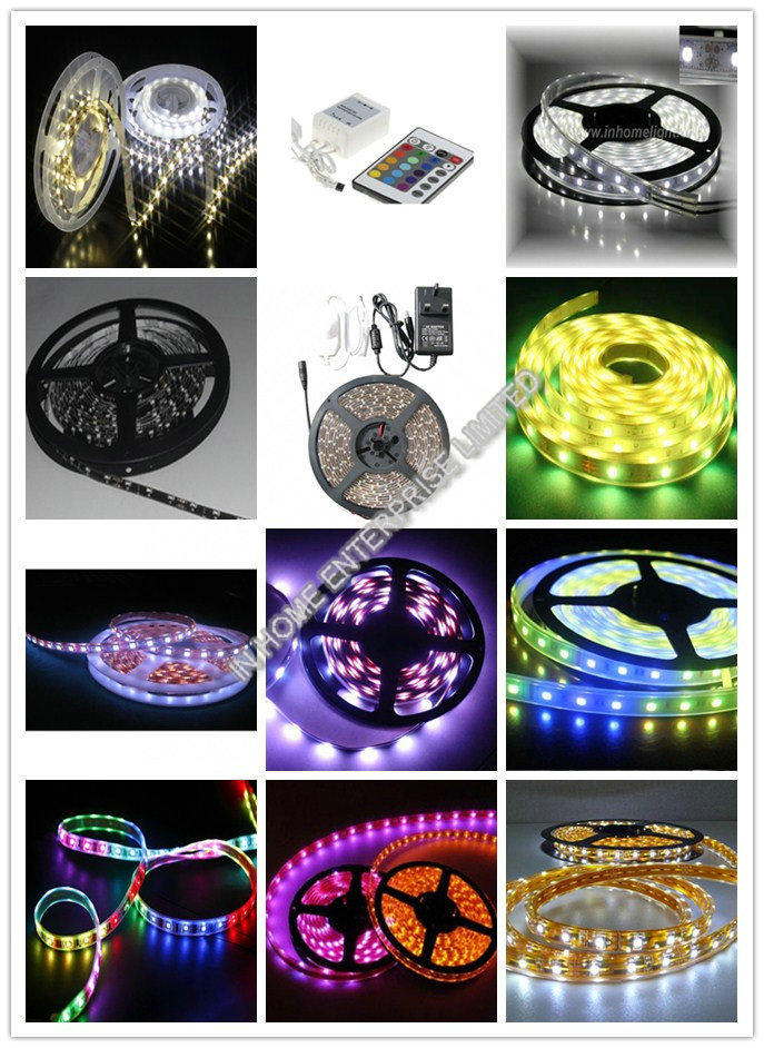 IP65 12V ha condotto le strisce principali delle lampade fluorescenti SMD 5050 nel colore rosso, blu, verde