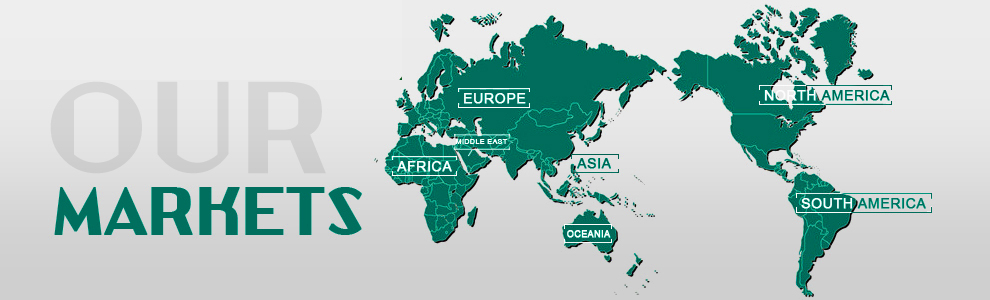 Загородка сада загородки сетки /Welded загородки ячеистой сети