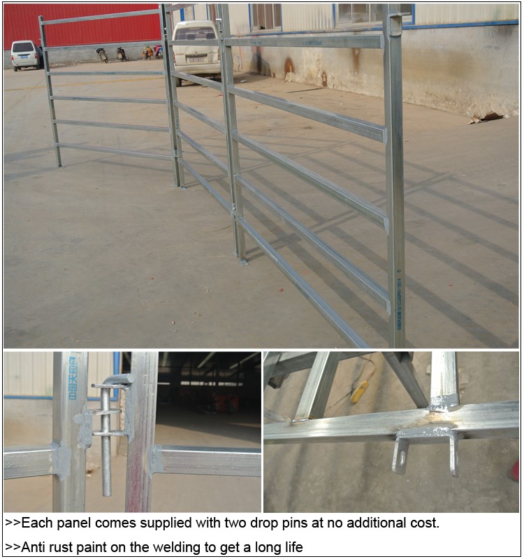 Il pannello galvanizzato resistente del bestiame del bestiame ha usato i pannelli del recinto per bestiame