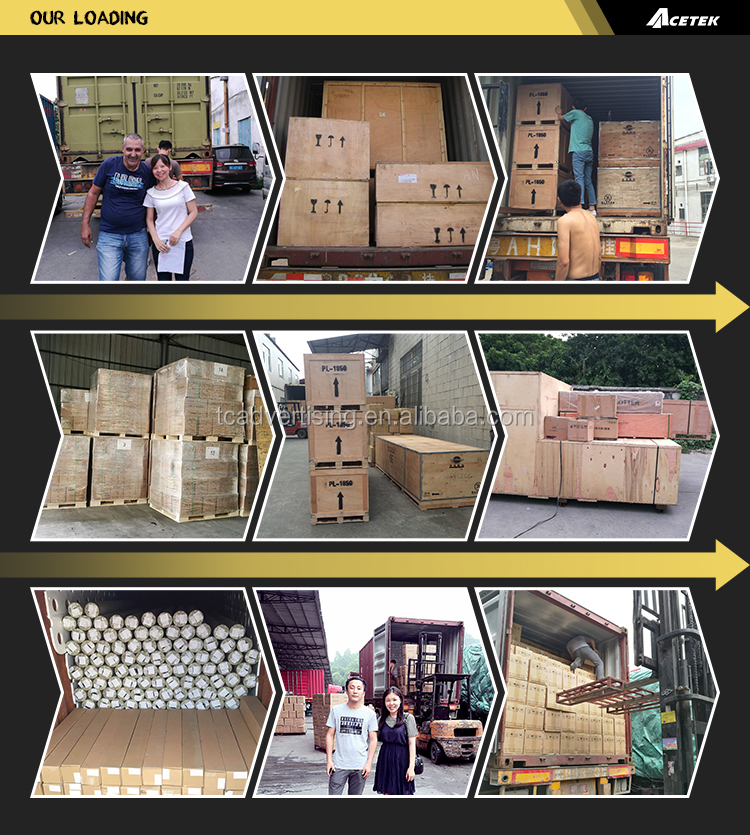 Stampante solvente della foto della macchina della tela della foto della testa di stampa DX5 della stampante K di eco resistente del getto