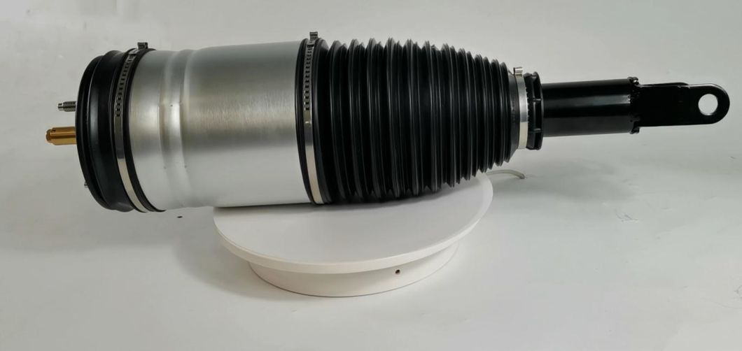 Ammortizzatore più umido della sospensione dell'aria per Dodge Ram 4877146AC 4877146AE 4877147AF 4877147AH