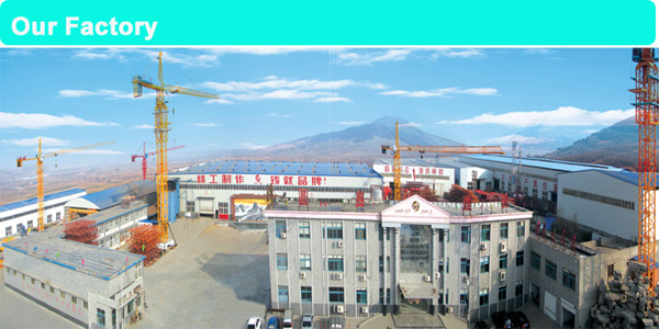 compañía 600.jpg del yuanxin