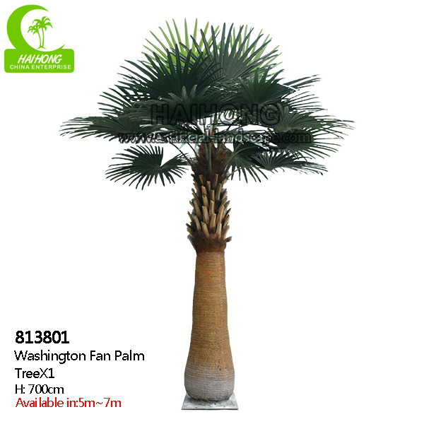 palma di fan falsa