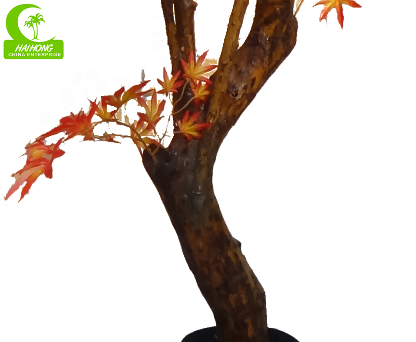 árbol de arce