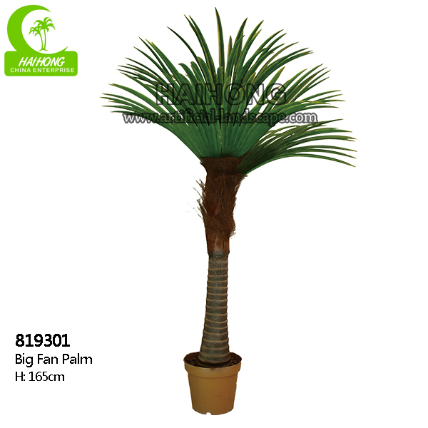palme d'imitazione da vendere