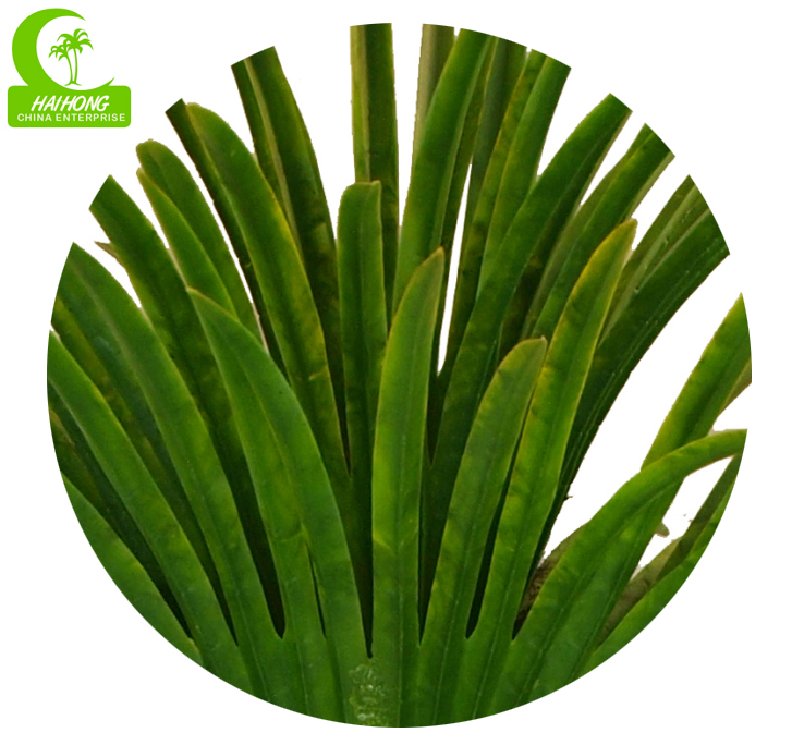 palme d'imitazione da vendere