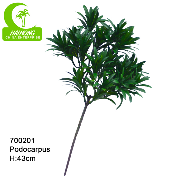 foglie artificiali del podocarpus
