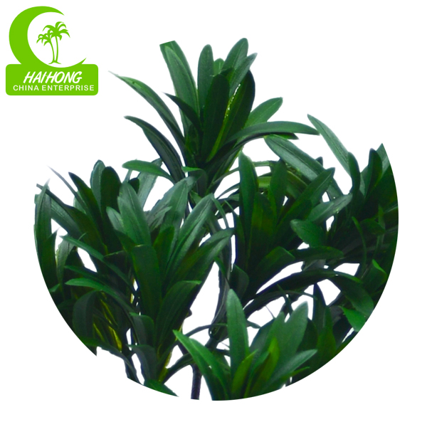 foglie artificiali del podocarpus