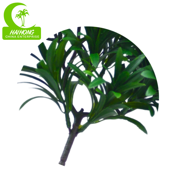 foglie artificiali del podocarpus