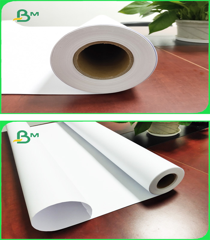 Enlace Rolls del Libro Blanco 20LB con 2