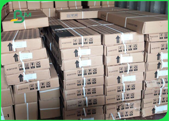 Enlace Rolls del Libro Blanco 20LB con 2