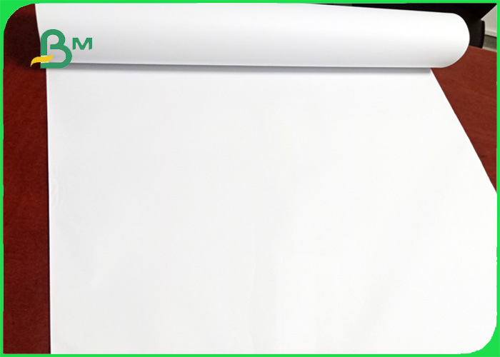 20# / 75gsm Clear pattern smooth Inkjet Plotter Paper (2
