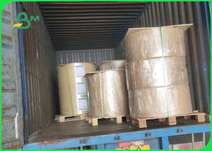 300gsm One Side Coating CCNB Paper For Cake Box 900 * 1220mm FSC Certified