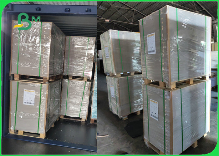 230gsm 250gsm Grey Back Duplex Board For Shirt Liner Smooth Surface 610 * 860mm