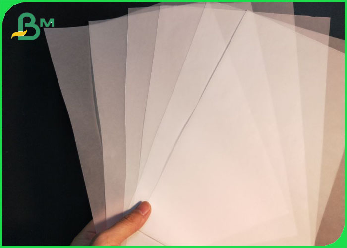 carta da ricalco di traslucenza di 50g 60g 73g per resistenza all'abrasione dello schizzo