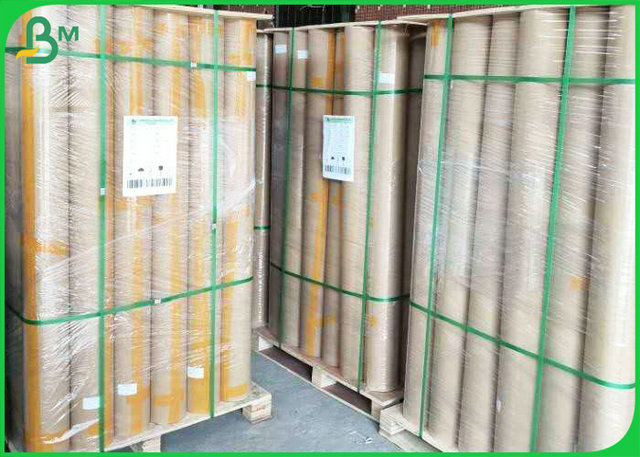 Inkjet Printing 60gsm Bond Plotter Paper Roll For Drafting Printer