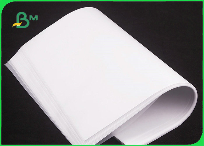 53gsm 63gsm Translucent Paper For Hand Drawing 620mm x 80m FSC Certified