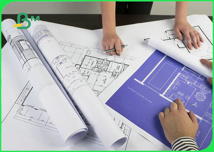 Cad Rolls de papel