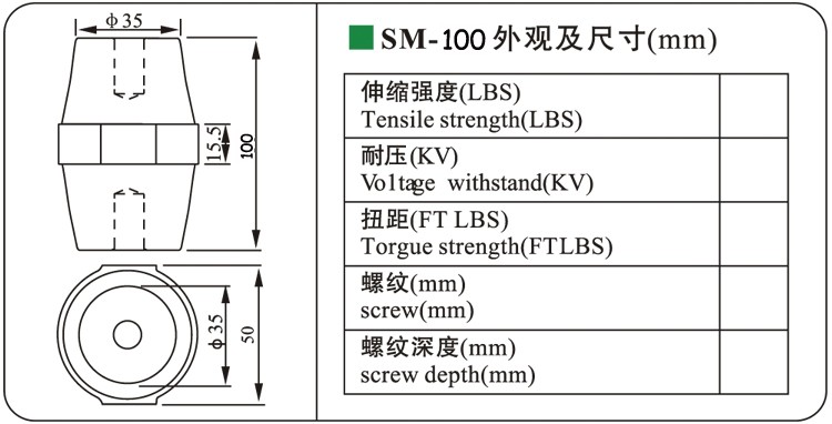 SM100.jpg