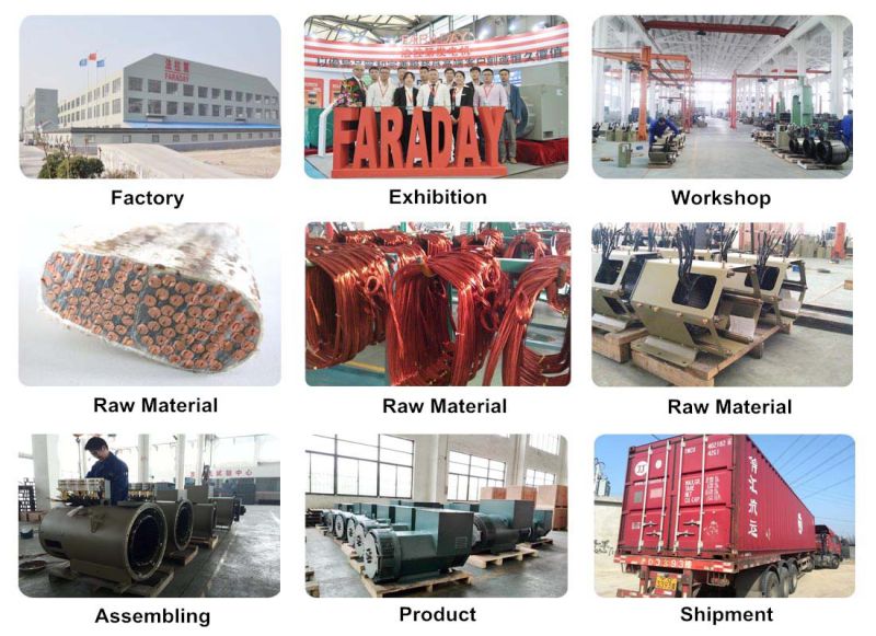 Generador sin cepillo del alternador de la CA de la garantía de la marca de dos años de China Faraday