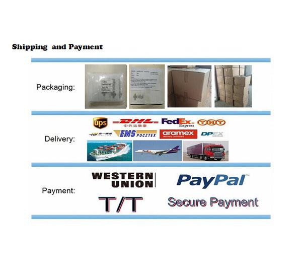 Étiquettes faites sur commande écologiques de coup d'habillement pour la forme spécialisée par marchandises