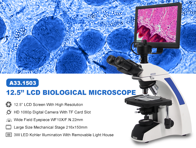microscopio lcd digital