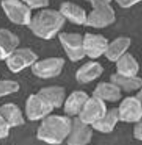 BDD electrode packaging and size comparison