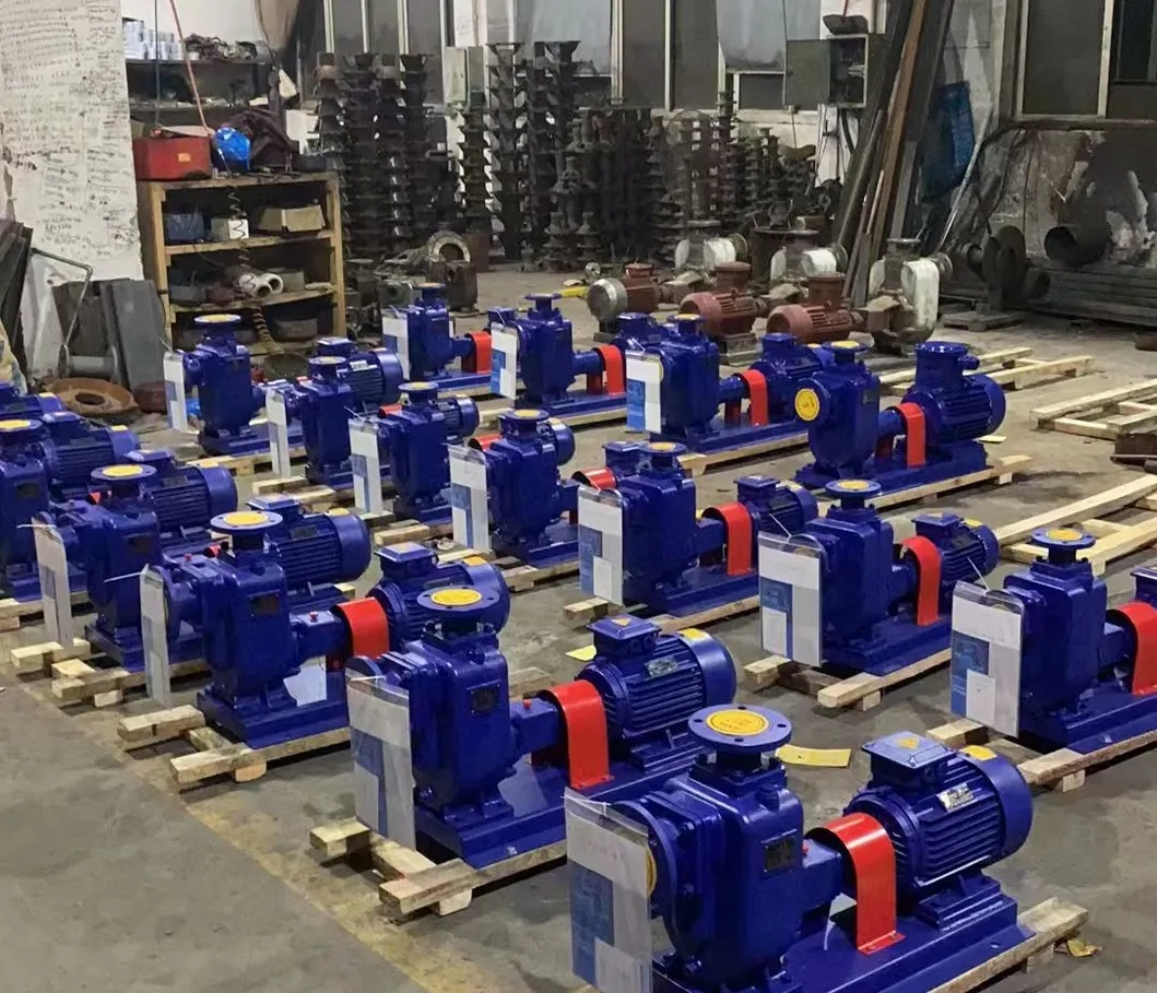 Zw Self-Priming Sewage Pump