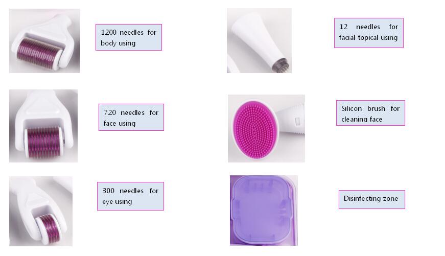 I più nuovi 6 in 1 rullo di derma, micro anno del rullo dell'ago nel 2018
