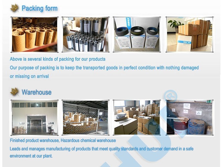 Sello de goma del material de goma y del eje estándar o estándar 25-45-11