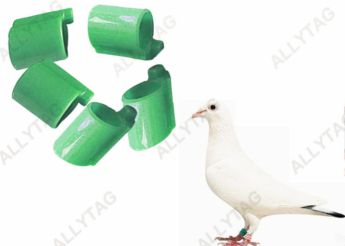 Poultry UHF RFID TAGS Animal Pigeon Foot Loop For Tracing Management ...