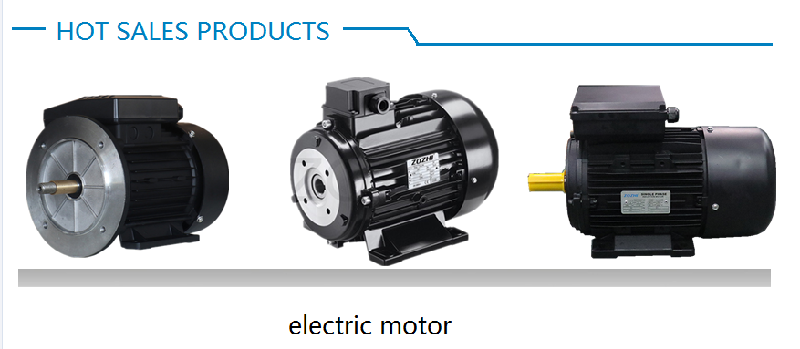induction motor