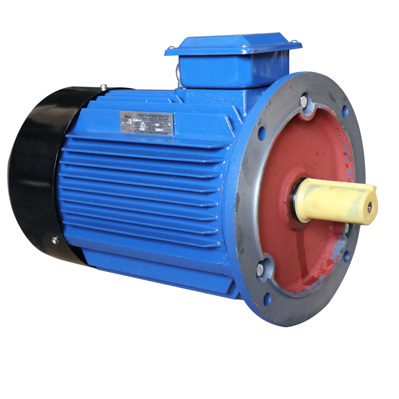 Moteur à induction Y2 triphasé