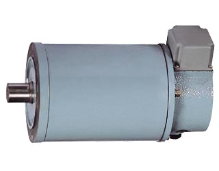 Motori a magnete permanente della porta di CC ZYM100-140