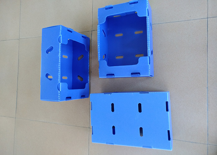 cajas de frutas de plástico corrugado