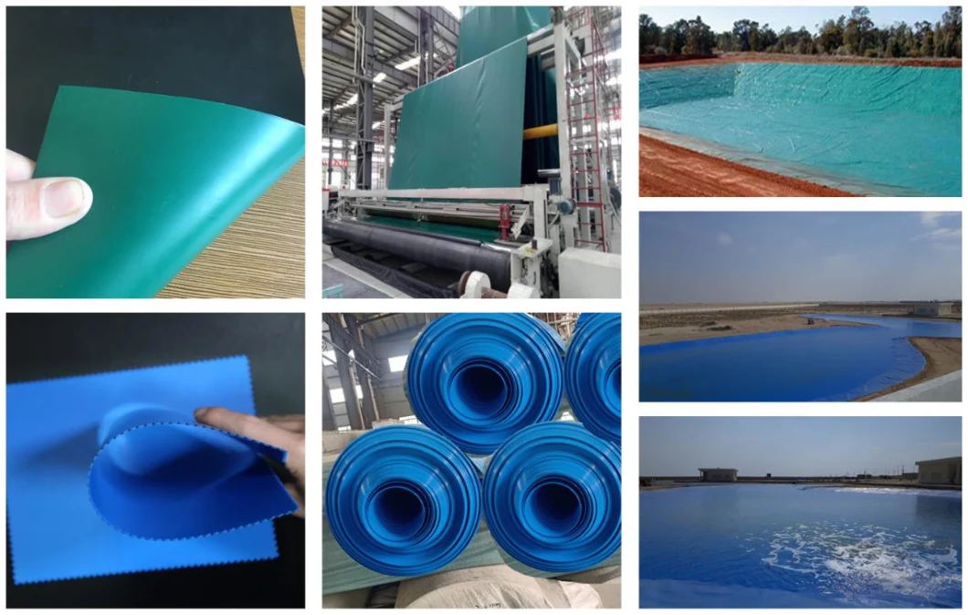 LDPE/LLDPE/PVC/HDPE plástico impermeável Geomembrane para o preço de fábrica do forro da lagoa do camarão