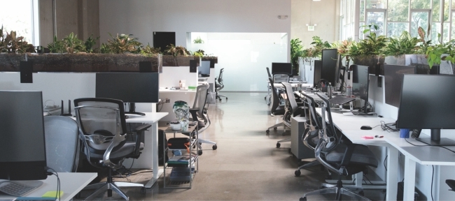 Armi di controllo di plastica del cavo di PA ergo Mesh Manager Chair 5D di Marrit 2