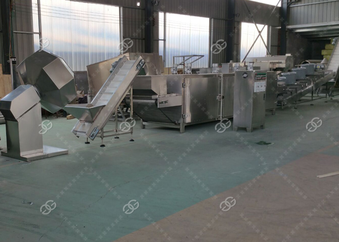 Noce di cocco Chips Making Machine
